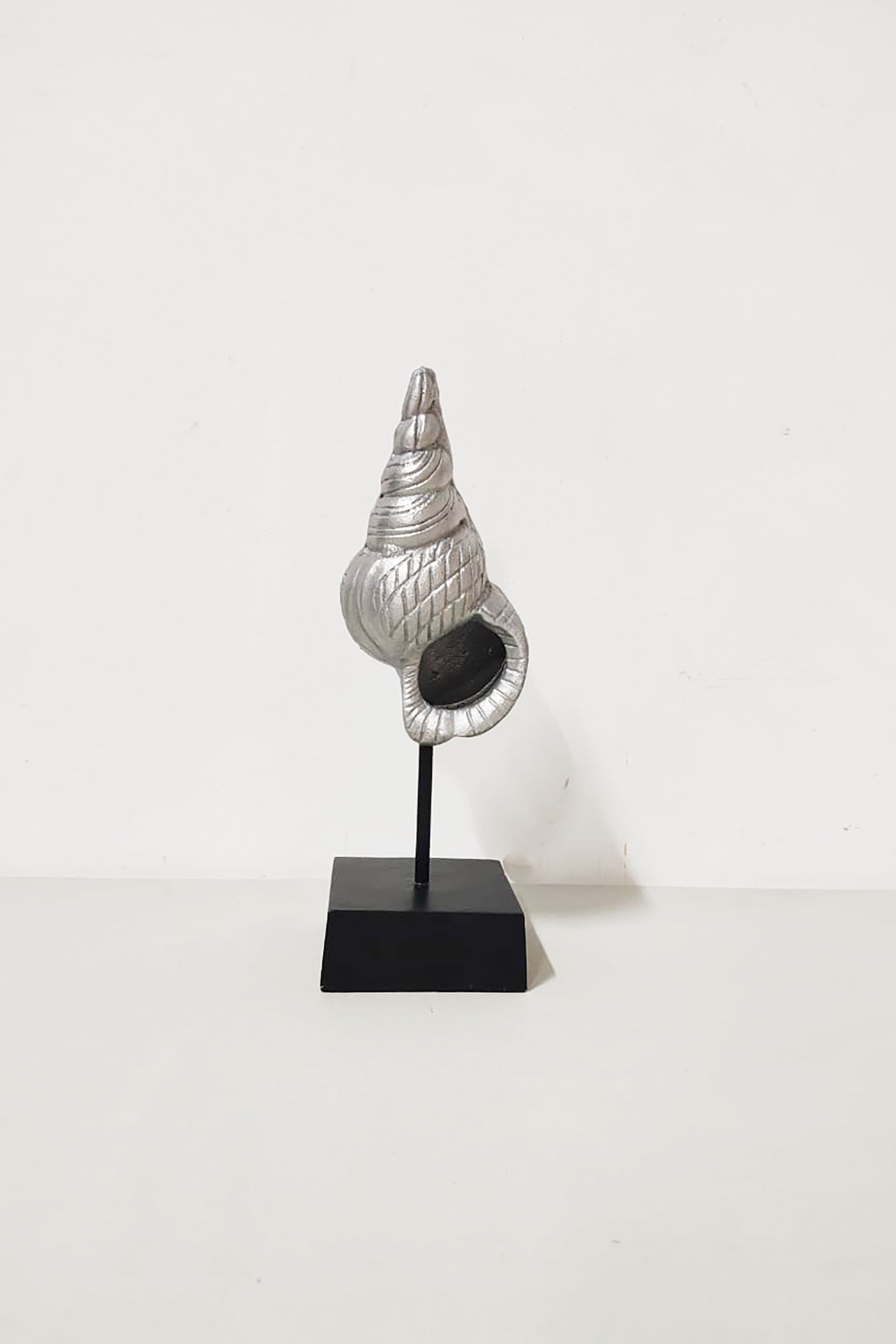 Decorative Sea Snail Display in Aluminum Stand – ProppedUpRentals