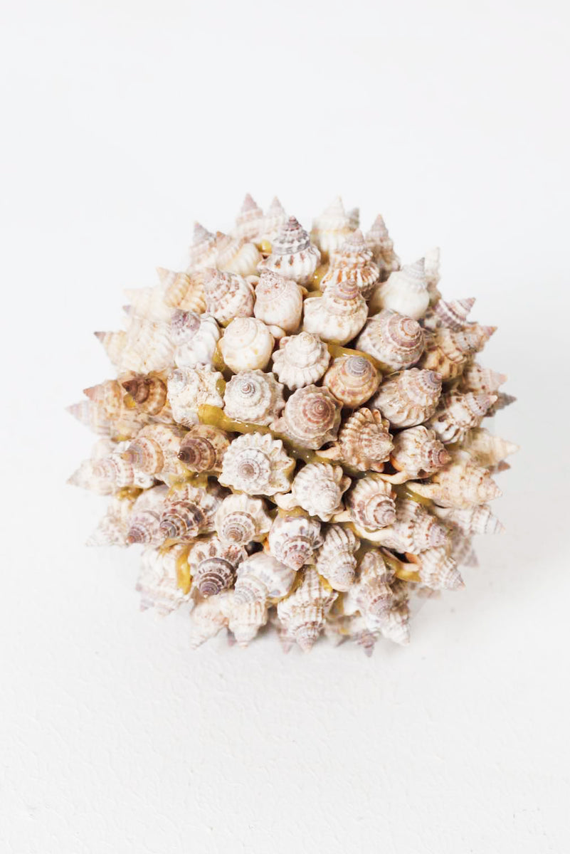 Shell Ball – ProppedUpRentals